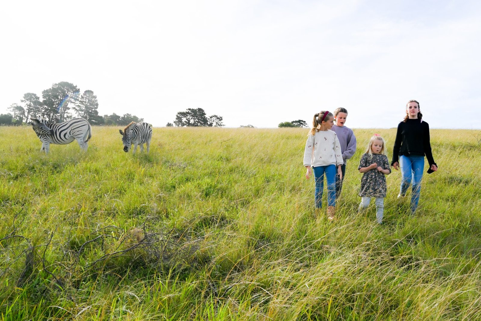 Recent Press Coverage of Adventure Family Journal - Adventure Family ...